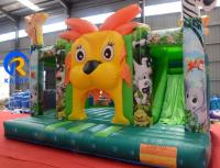 China Children's Amusement Park Trampoline with Internal Slide Customized Jungle Lion King for sale