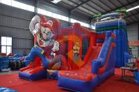 China Sea Shipping Inflatable Bouncer Bounce House Slide Combo for 14 Years Up for sale