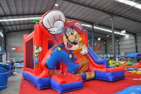 China Sea Shipping Inflatable Bouncer Bounce House Slide Combo for 14 Years Up for sale