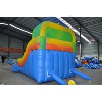 China Large Adult Size Commercial Water Slide Inflatable with Pool Max Capacity 100-500kg for sale