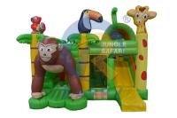 China Portable Inflatable Bounce House With Slide Air Jumping Castles Waterslide Small Bouncer for sale