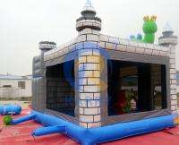 China Dino Commercial Bouncy Inflatable Castle with Slide and Accessories Repair Kits for sale