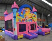 China 14 Years up PVC Birthday Party Inflatable Jumping Castle with Slide 5*5m and Accessories for sale