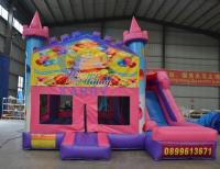 China 14 Years up PVC Birthday Party Inflatable Jumping Castle with Slide 5*5m and Accessories for sale