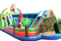 China 14 Years up Crazy Ferris Wheel Inflatable Fun City Bouncy Castle with Animal Theme Park for sale