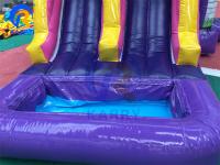 China 14 Age Range Inflatable Bouncy Bounce at Home Jumping Castle with Slide for sale