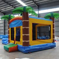 China Repair Kits Included Adult Size Inflatable Jumping Castles with Water Slide and Pool for sale