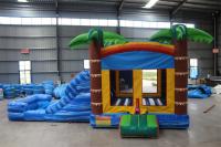 China Repair Kits Included Adult Size Inflatable Jumping Castles with Water Slide and Pool for sale