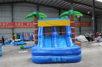 China Repair Kits Included Adult Size Inflatable Jumping Castles with Water Slide and Pool for sale