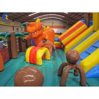 China Outdoor Playground Portable Inflatable Dry Slide Jumping Bouncy Castle for Fun City for sale