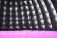 China Digital Printing Inflatable Bounce House for Outdoor Family Disco Theme Park and Unisex for sale