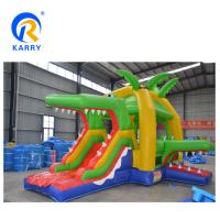 China 14 Years up Popular Outdoor Inflatable Bouncer Slide with CE Blower and Repair Kits for sale