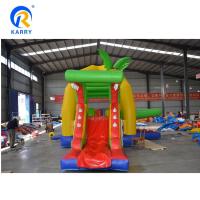China 14 Years up Popular Outdoor Inflatable Bouncer Slide with CE Blower and Repair Kits for sale
