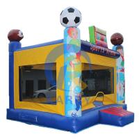China 14 Years up Customized Color Commercial Inflatable Bouncer Castle for Backyard Party for sale