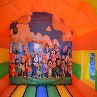 China Outdoor Entertainment Party Inflatable Bounce House Bouncer Combo with Customized Color for sale