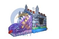 China Features PORTABLE Kids Inflatable Dry Jumper Bouncy Castle with Slide and Chameleon for sale