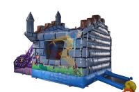 China Features PORTABLE Kids Inflatable Dry Jumper Bouncy Castle with Slide and Chameleon for sale