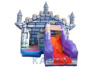 China Features PORTABLE Kids Inflatable Dry Jumper Bouncy Castle with Slide and Chameleon for sale