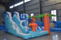 China Outdoor Playground Inflatable Dolphin Whale Castle Slide Combo for Kids 14 Years up for sale