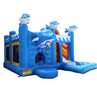 China Unisex Outdoor Playground 5*5m Commercial Inflatable Dolphin Bounce House with Slide for sale
