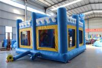 China Unisex Outdoor Playground 5*5m Commercial Inflatable Dolphin Bounce House with Slide for sale
