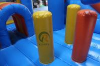 China Unisex Outdoor Playground 5*5m Commercial Inflatable Dolphin Bounce House with Slide for sale