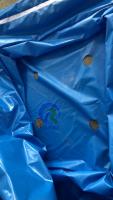 China Unisex Outdoor Playground 5*5m Commercial Inflatable Dolphin Bounce House with Slide for sale