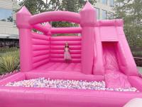 China Hand Drawn Wedding Bouncy Castle Jumper with Slide and Ball Pit Express Air Shipping for sale