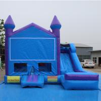 China 14 Years up Portable Inflatable Girls Jumping Castle with My Little Horse Design for sale