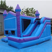China 14 Years up Customized Inflatable Bouncy House Castle for Kids and Adults Cartoon Theme for sale