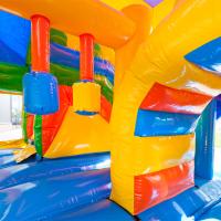 China Kids Clown Inflatable Bouncer Outdoor Playground with Slide Shipping by Sea/Air Sale for sale