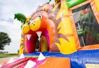 China 14 Years Unisex Inflatable Outdoor Jungle Lion Bouncer with Slide and Jumping Castle for sale