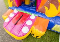 China 14 Years Unisex Inflatable Outdoor Jungle Lion Bouncer with Slide and Jumping Castle for sale