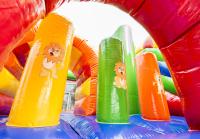 China 14 Years Unisex Inflatable Outdoor Jungle Lion Bouncer with Slide and Jumping Castle for sale
