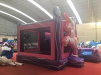 China PORTABLE Bouncing Castle Combo Slide with EN71 Certification Rainbow Unicorn and Slide for sale