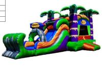 China Gender-Neutral Inflatable Castle Bouncy Slide Perfect for Commercial Party Rentals for sale