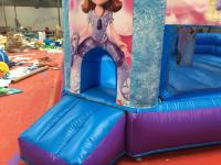 China Hot Princess Party Bouncy Castle with Slide PVC Commercial Playground Equipment for sale