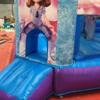 China Hot Princess Party Bouncy Castle with Slide PVC Commercial Playground Equipment for sale