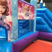 China Hot Princess Party Bouncy Castle with Slide PVC Commercial Playground Equipment for sale