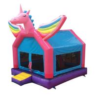 China 14 Years up PVC Kids Fun Amusement Park Candy Inflatable Jumping Castle for Outdoor Fun for sale