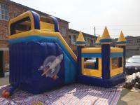 China Inflatable Castle Bouncy for Kids and Adults Event/Outdoor/Indoor Printing Digital Printing for sale