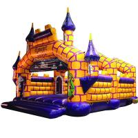 China Clearance Camelot Bouncy Castle Custom Inflatable Castle Combo for Entertainment for sale