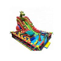 China 14 Years up Popular Shopping Mall Inflatable Fun City Dragon Bouncy Castle for Kids for sale