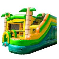 China 14 Years up Age Range Inflatable Bouncing House with Slide and Palm Tree for sale
