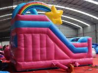 China Commercial Party Rental 5x5.5m Inflatable Bouncy Castle with Slide Unicorn for sale
