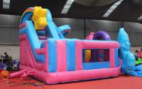 China Commercial Party Rental 5x5.5m Inflatable Bouncy Castle with Slide Unicorn for sale
