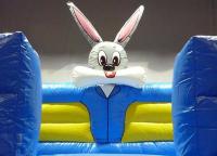 China Cute and Funny Commercial Bouncy House Age Range 14 Years Up Gender Unisex Funny Design for sale