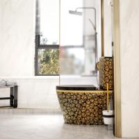 China One Piece Toilet Dual Flush 300mm 400mm Roughing In Ceramic Sanitary Ware Floor Mounted 650x370x780mm for sale