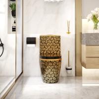 China One Piece Toilet Dual Flush 300mm 400mm Roughing In Ceramic Sanitary Ware Floor Mounted 650x370x780mm for sale