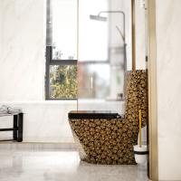 China Ceramic Black Golden Siphonic One Piece Toilet Wall Hung Easy Clean for sale
